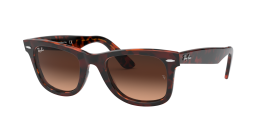 Buy Wayfarer Online