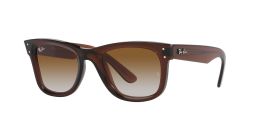 Buy Wayfarer Reverse Online