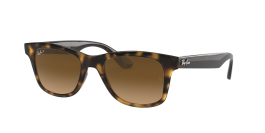 Buy Best Ray-Ban Rb4640 Sunglasses Online