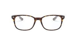 Buy Ray-Ban Rx5375 Eyeglasses Online.