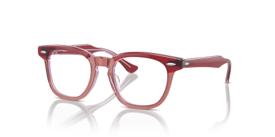 Buy Ray-Ban Eyeglasses Online from India Official Store